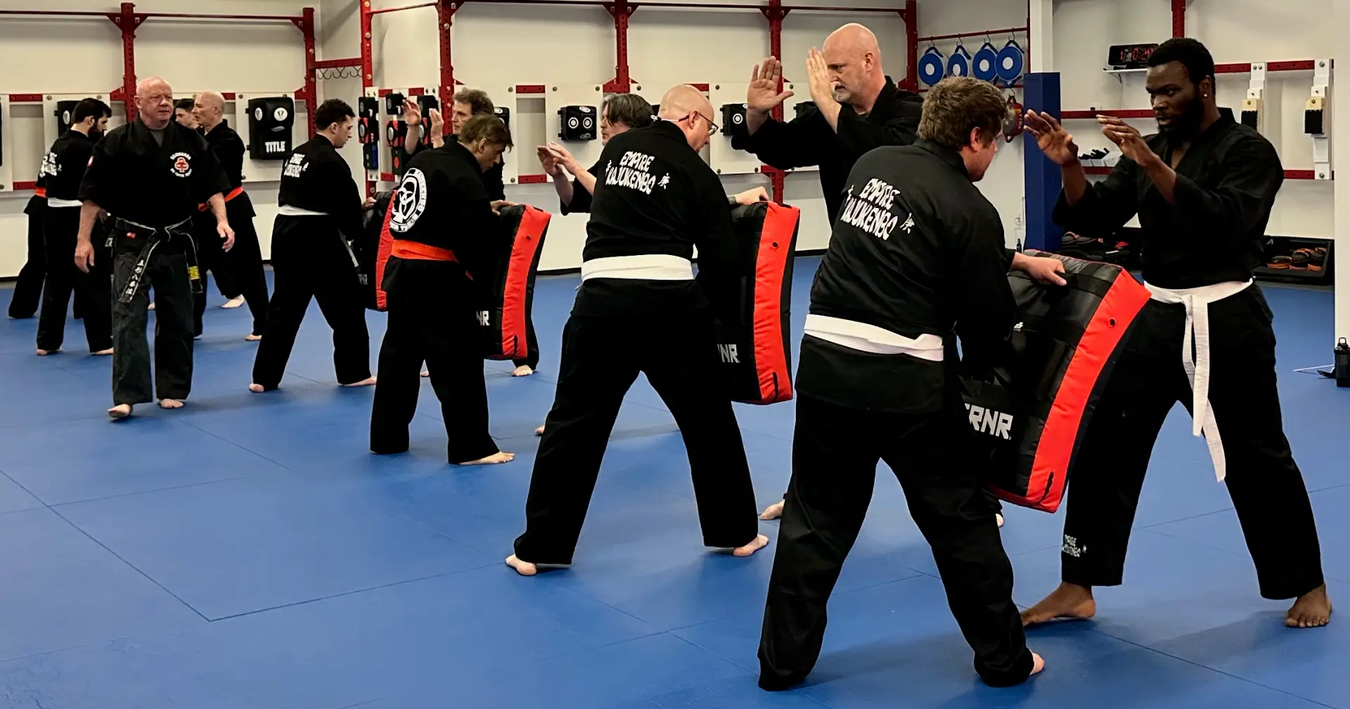 The ULTIMATE MARTIAL ART TRAINING SYSTEM…KAJUKENBO - 518empire.com